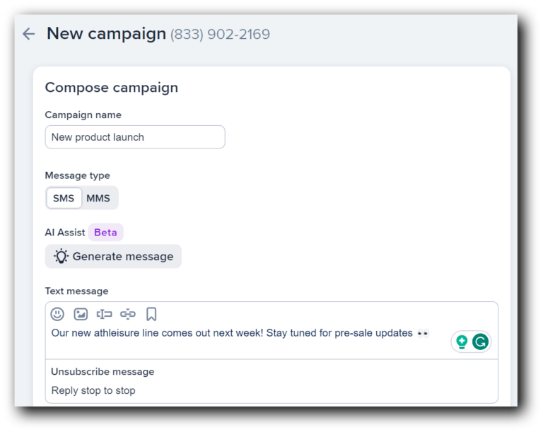 SMS marketing campaigns 101: best practices, tips, & examples