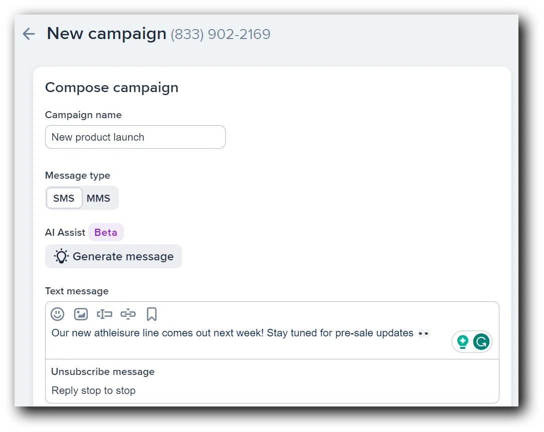 SMS marketing campaigns 101: best practices, tips, & examples